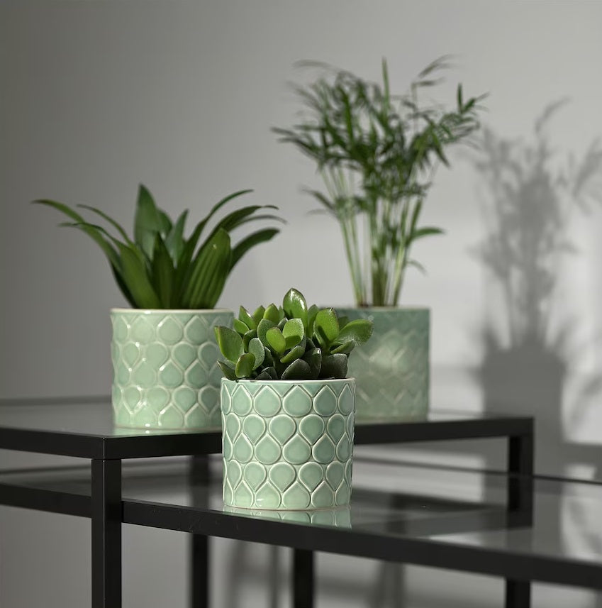 CHIAFRON MACETA 9CM VERDE – Essenciadeco