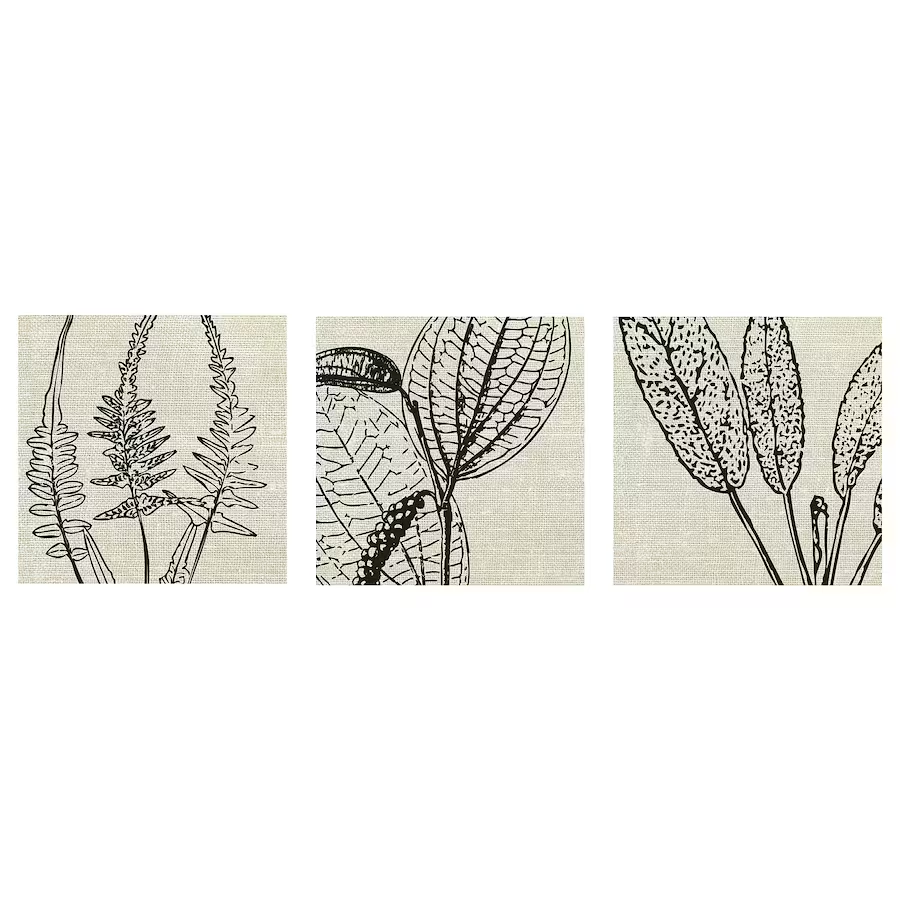 PJATTERYD CUADRO HOJAS SET 3 – Essenciadeco